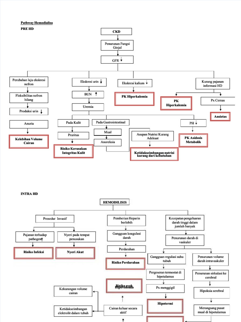 PDF Pathway Hemodialisa - Compress | PDF