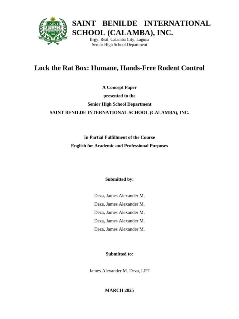 Format - Concept Paper | PDF