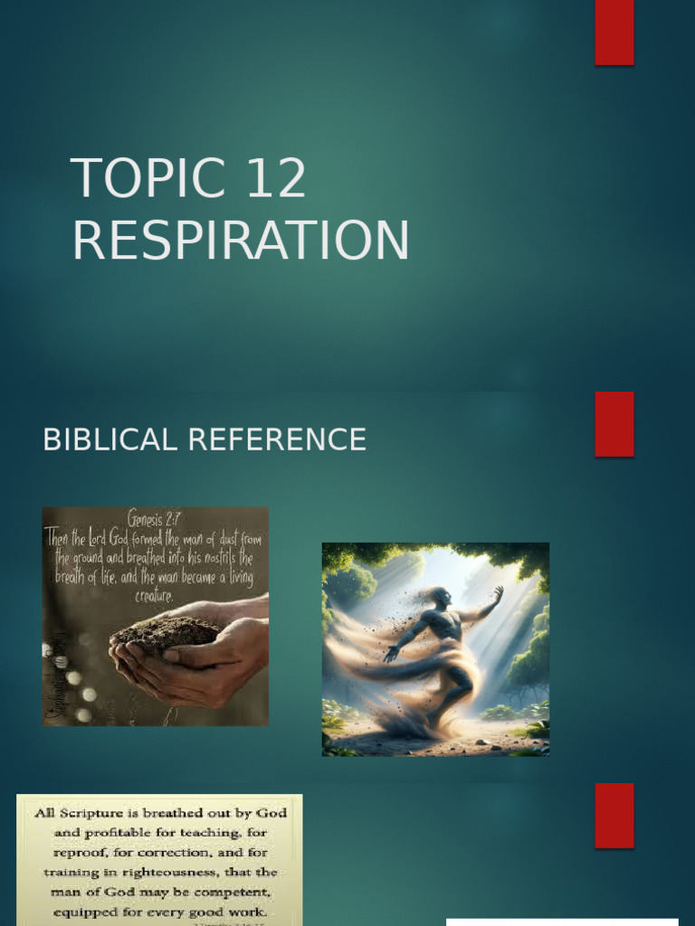 Topic 12 Respiration 12.1 | PDF