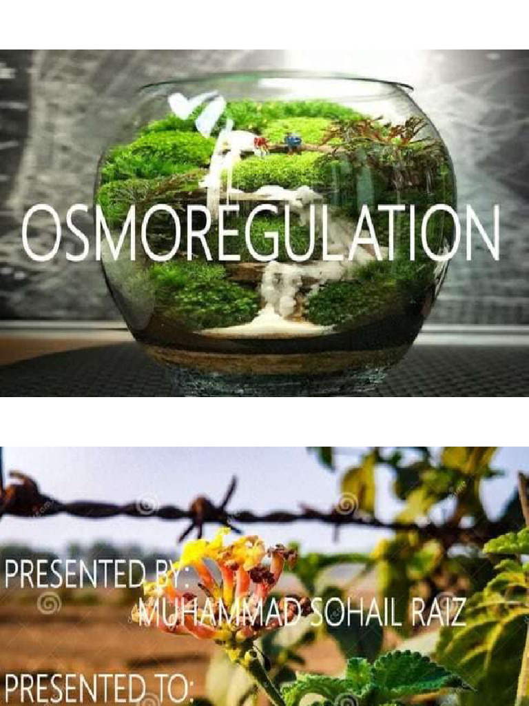 Osmo Regulation | PDF