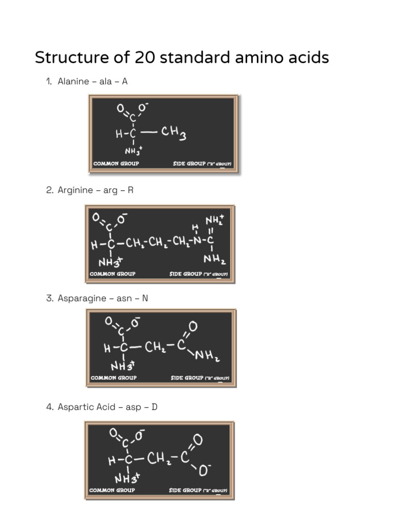 Structures of 20 Standard Amino Acids | PDF