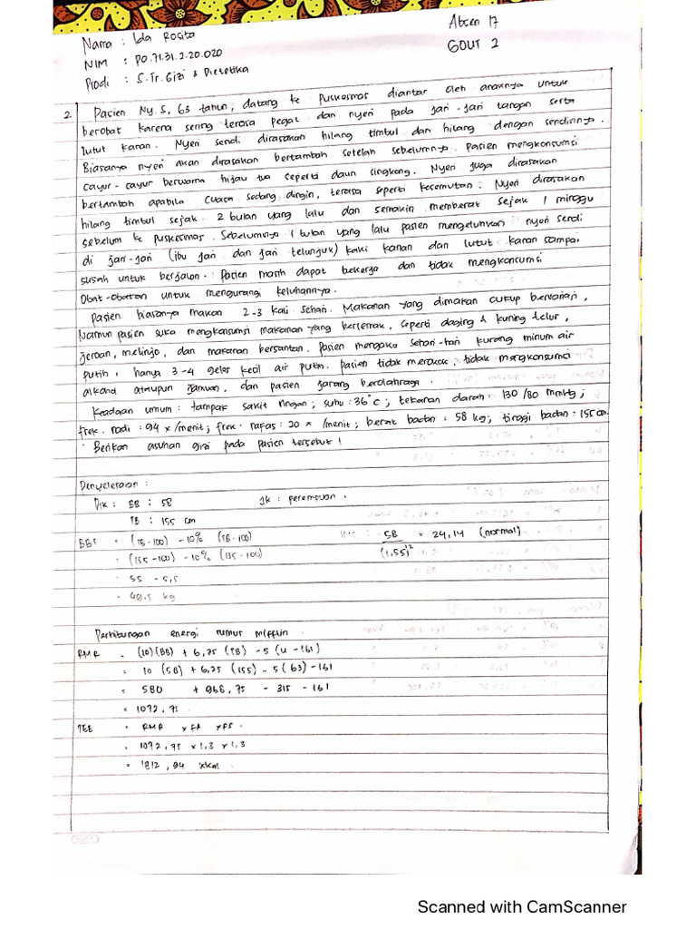 17 - Ida Rosita - Gout 2 | PDF