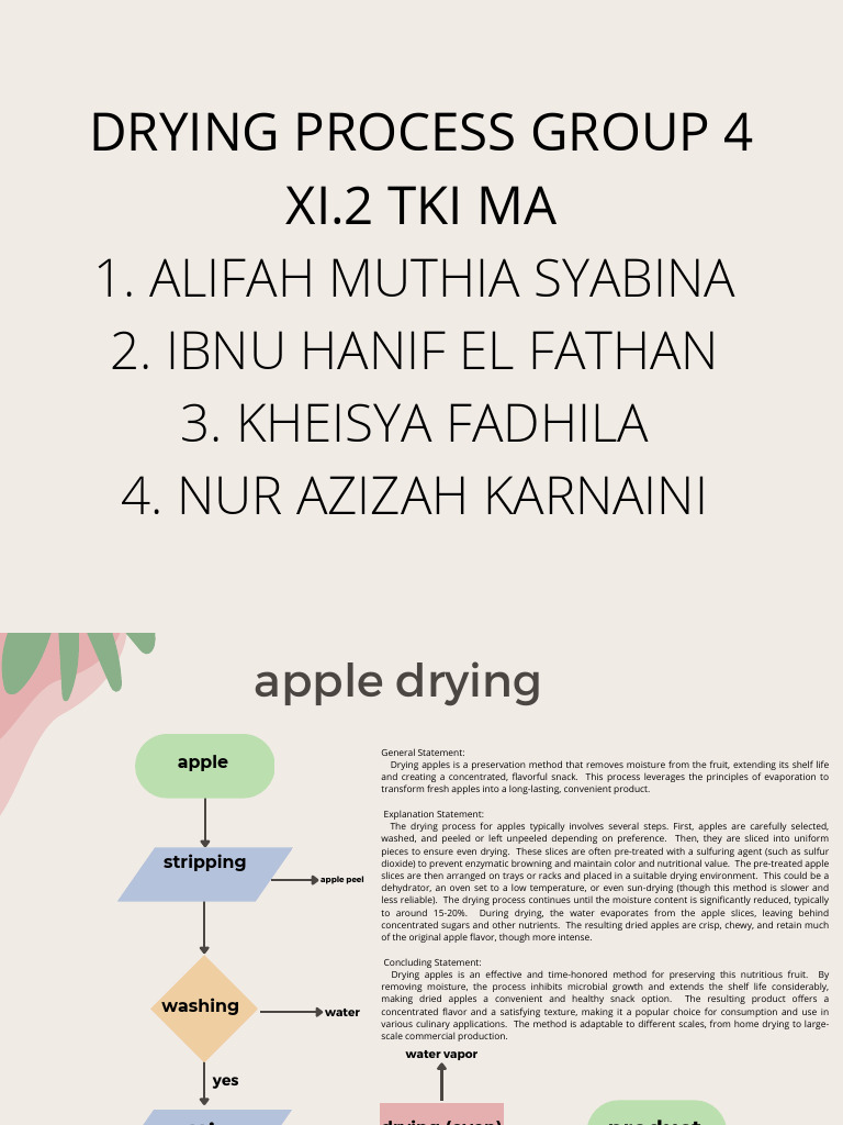 Drying Process - 20250124 - 144328 - 0000 | PDF | Apple | Food Preservation
