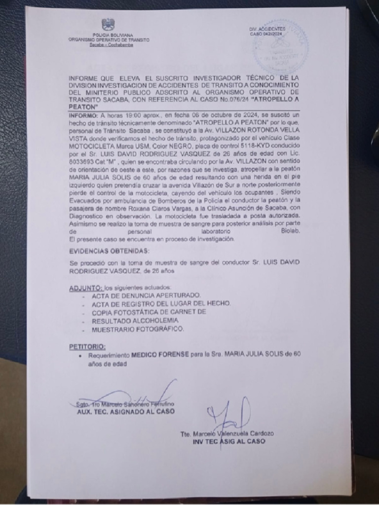 Informe Preliminar | PDF