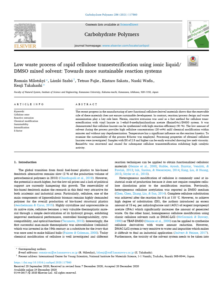 Sustainable Cellulose Transesterification Process | PDF | Energy ...