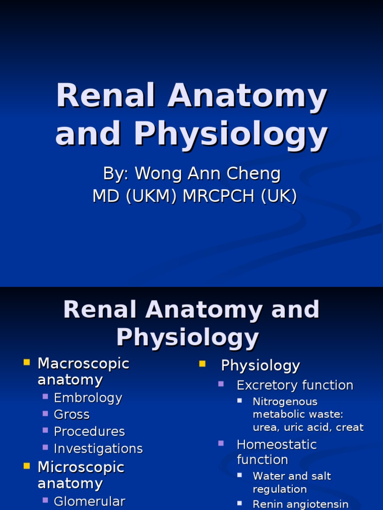 Renal Anatomy and Physiology