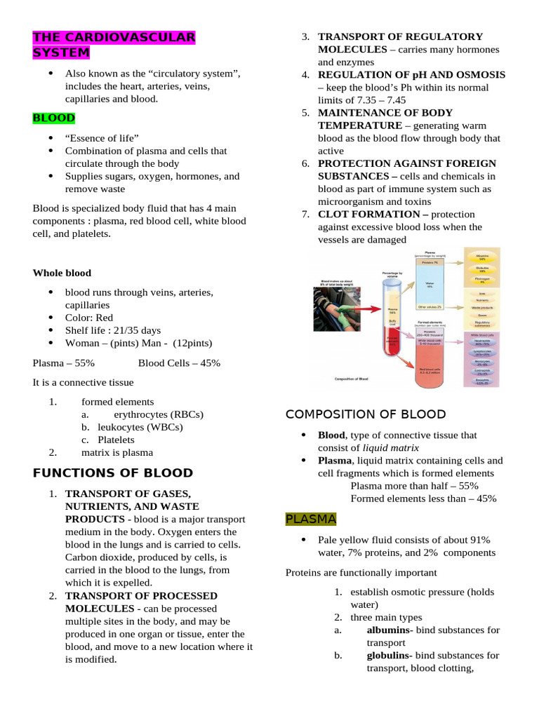 The Cardiovascular System | PDF | Blood Type | White Blood Cell