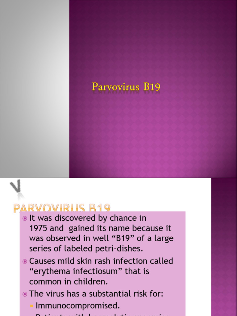 Overview of Human Parvovirus B19 | PDF