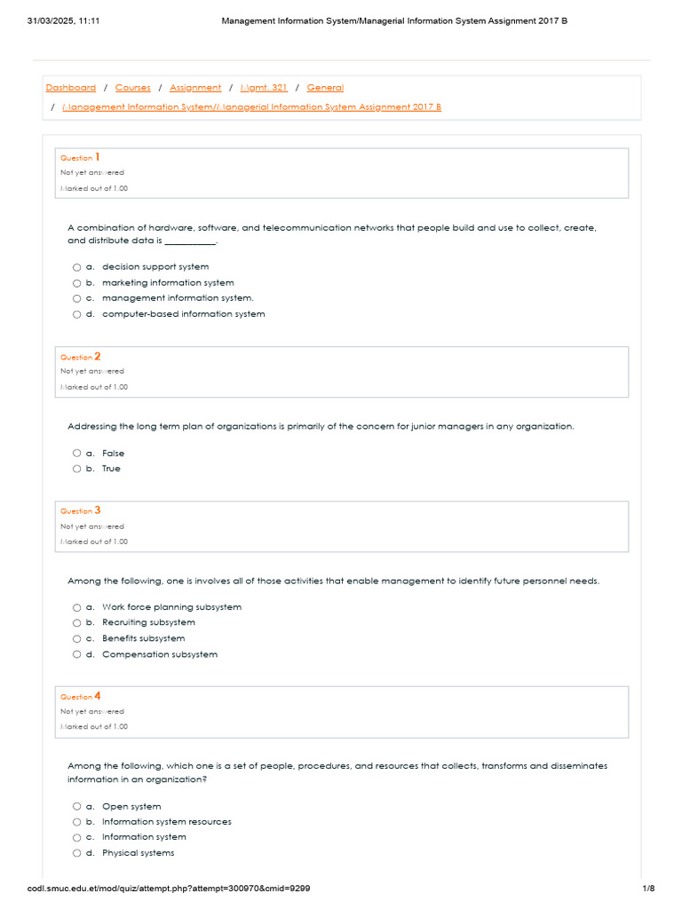 Management Information System Assignment 2017 B | PDF | System | Management Information System