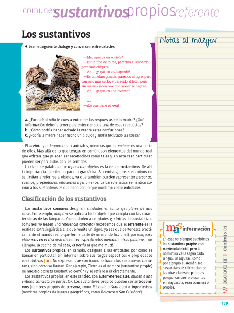 Los sustantivos y los adjetivos | PDF | Sustantivo | Género gramatical