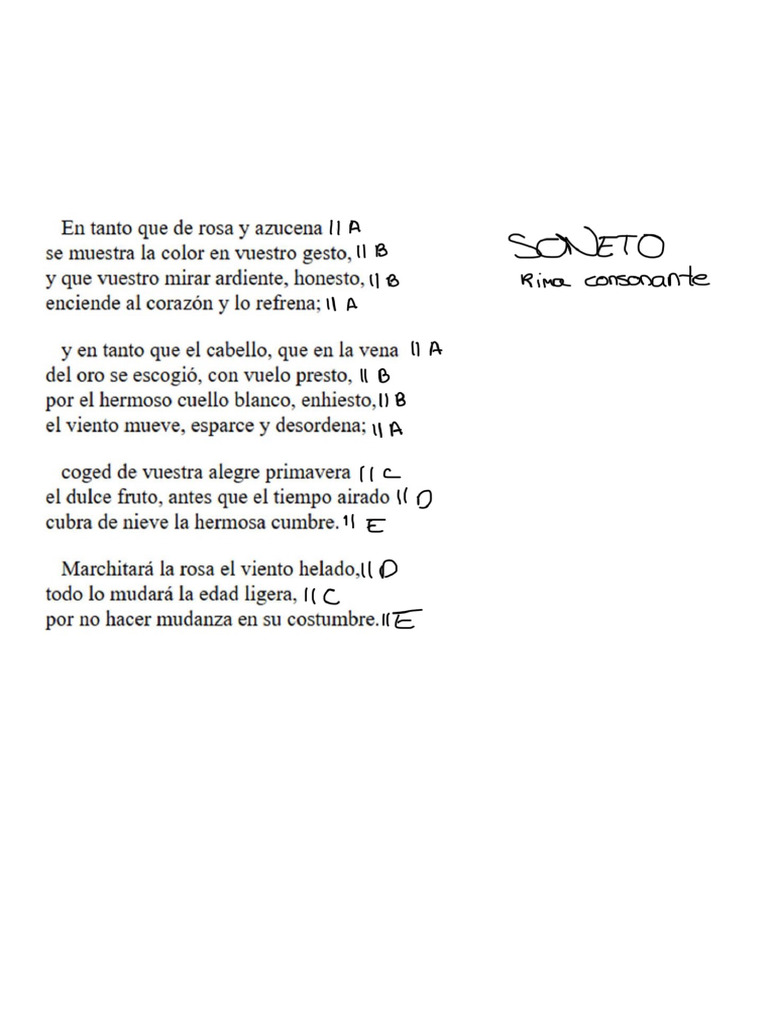 Soneto Garcilaso de La Vega | PDF