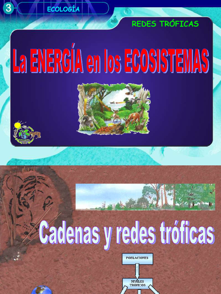 Relaciones Tróficas y Flujo de Energía | PDF | Red alimentaria | Biología