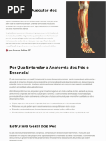 Músculos Intrínsecos dos Pés e Suas Funções | PDF | Pé | Anatomia dos ...