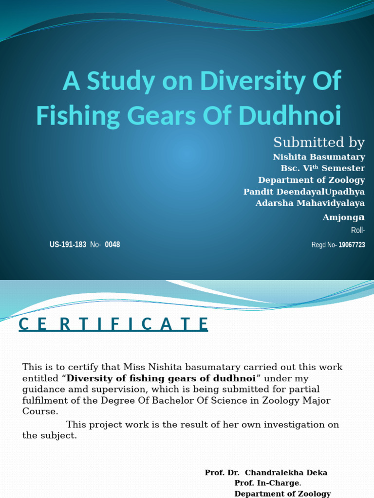 A Study On Diversity of Fishing Gears of | PDF | Fishing Tackle ...