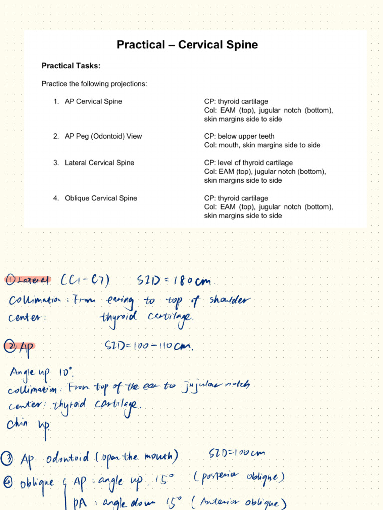 Practical - Cervical Spine | PDF