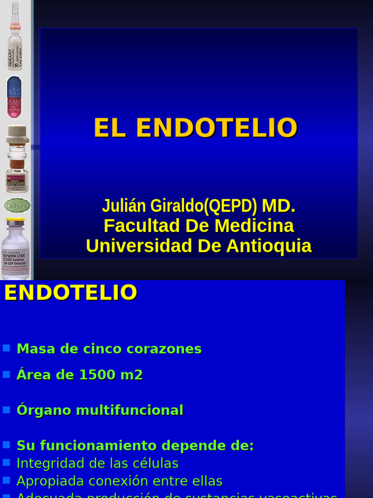 Funciones y características del endotelio | PDF