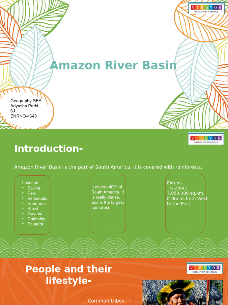 Adyasha - Geography - Grade-6 - SEA - Amazon River Basin | PDF
