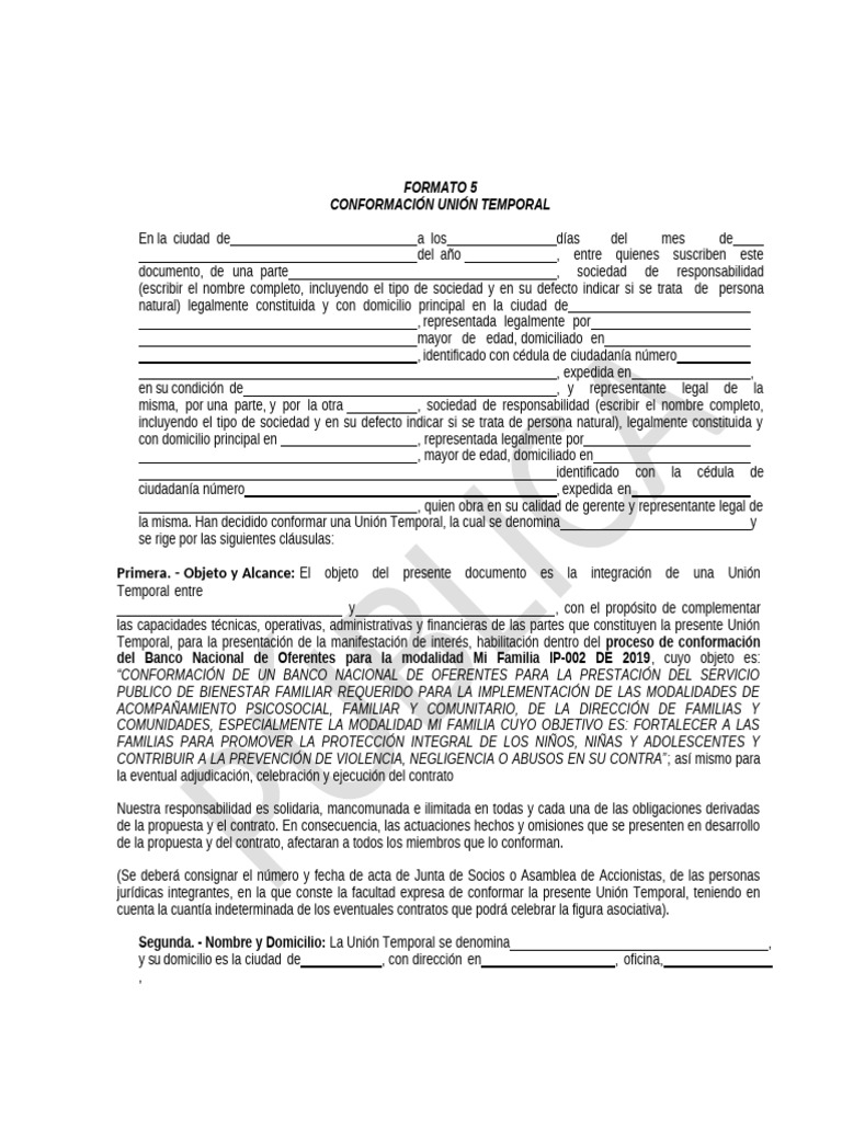 Formato 5 Conformacion Union Temporal | PDF