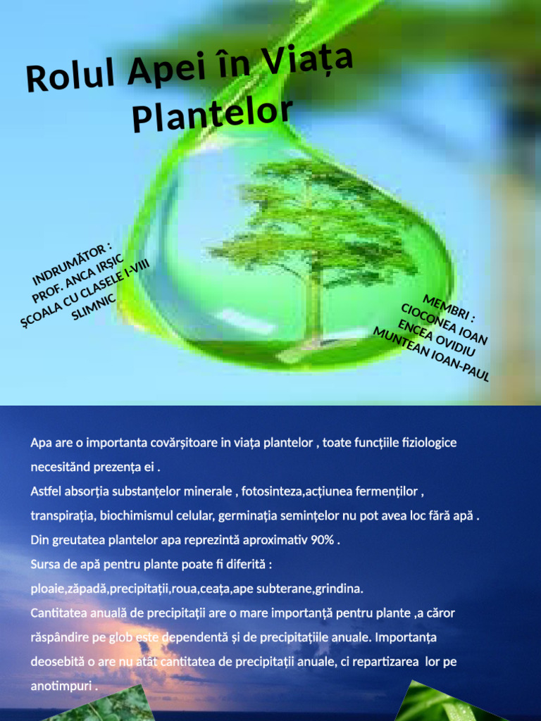 Apa in Viaa Plantelor | PDF