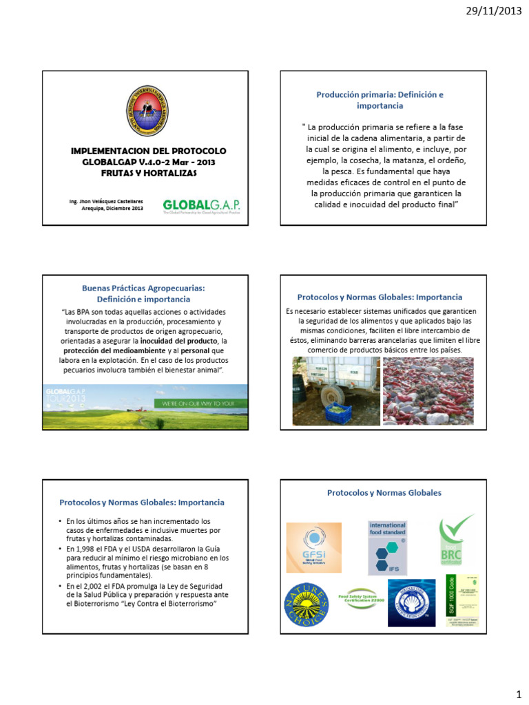 IMPLEMENTACION DE LA NORMA GLOBALGAP Diciembre 2013 | PDF | Fertilizante | Riego