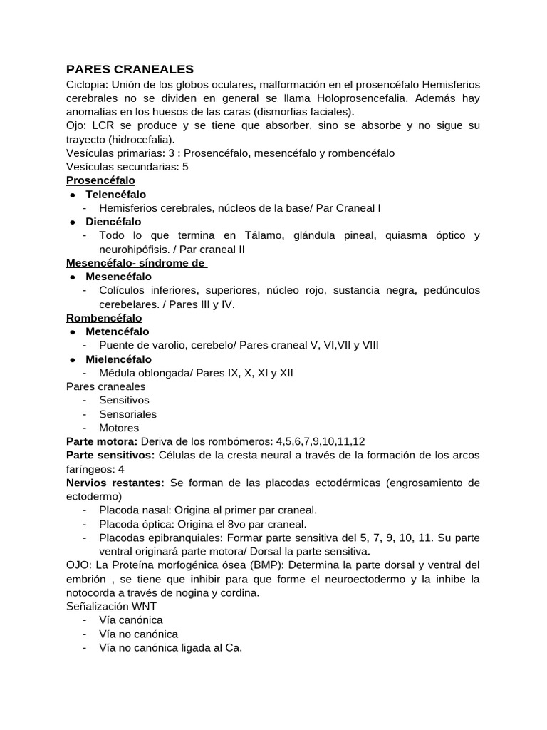 Placodas Epibranquiales y Pares Craneales | PDF