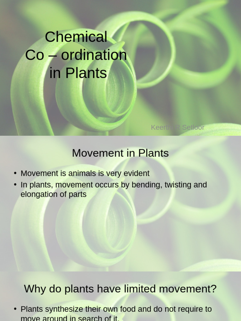 Chemical Co-Ordination in Plants | PDF | Plant Hormone | Auxin