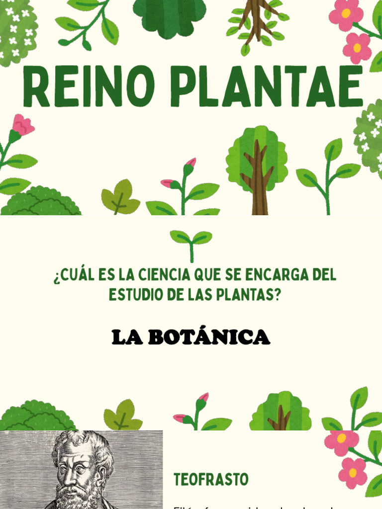 Características del Reino Plantae | PDF