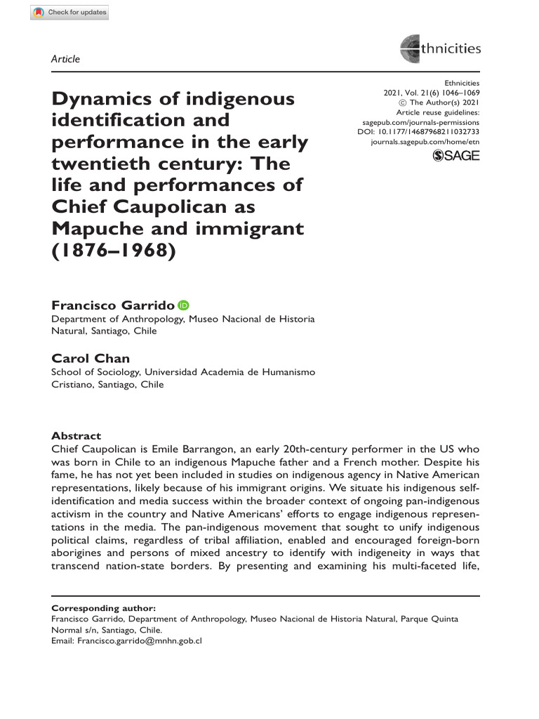 Garrido Chan 2021 Dynamics of Indigenous Identification and Performance ...