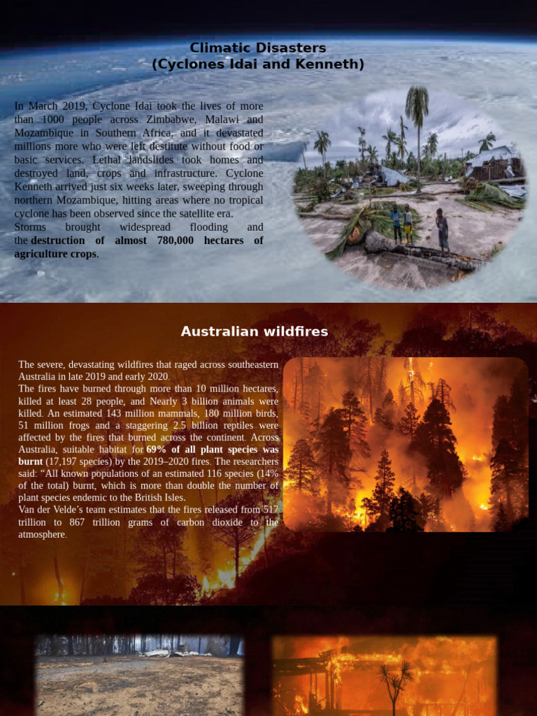 Impact of Climate Change | PDF | Coral | Natural Environment