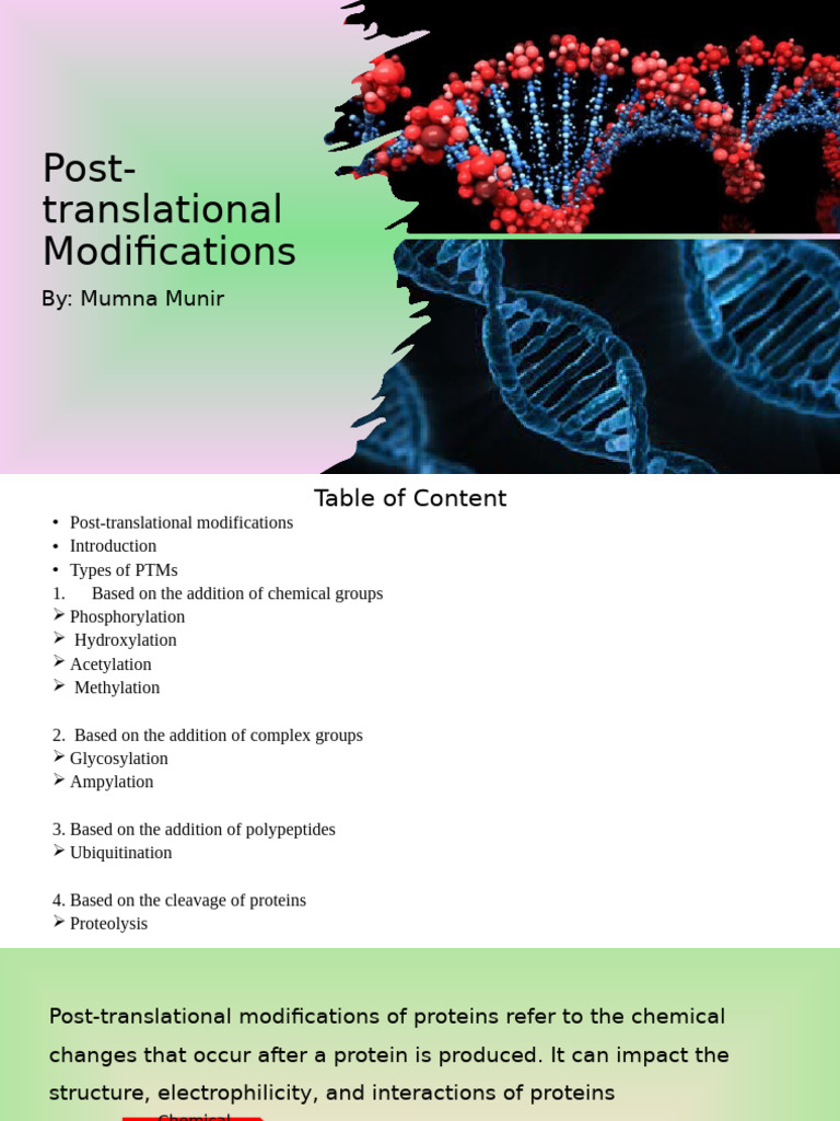 Post-Translational Modifications | PDF
