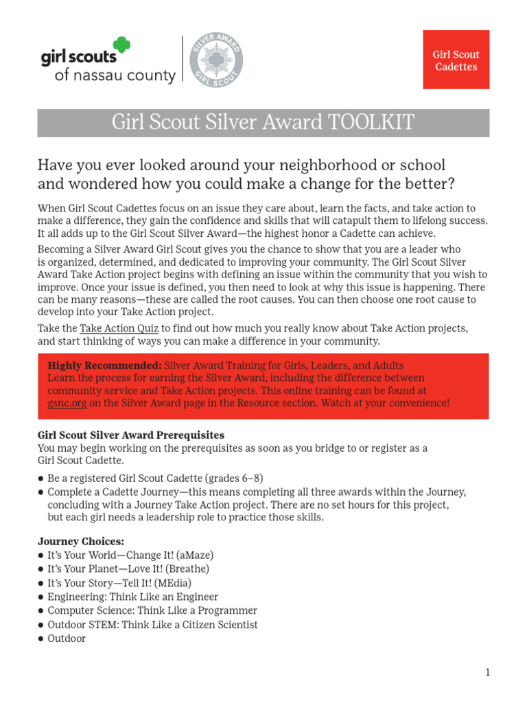 GSNC Silver Award ToolKit | PDF