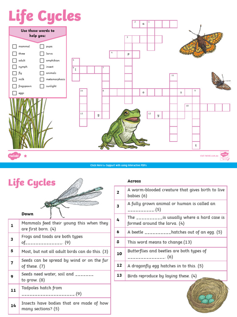 Frog and Insect Life Cycles Crossword | PDF | Egg | Frog