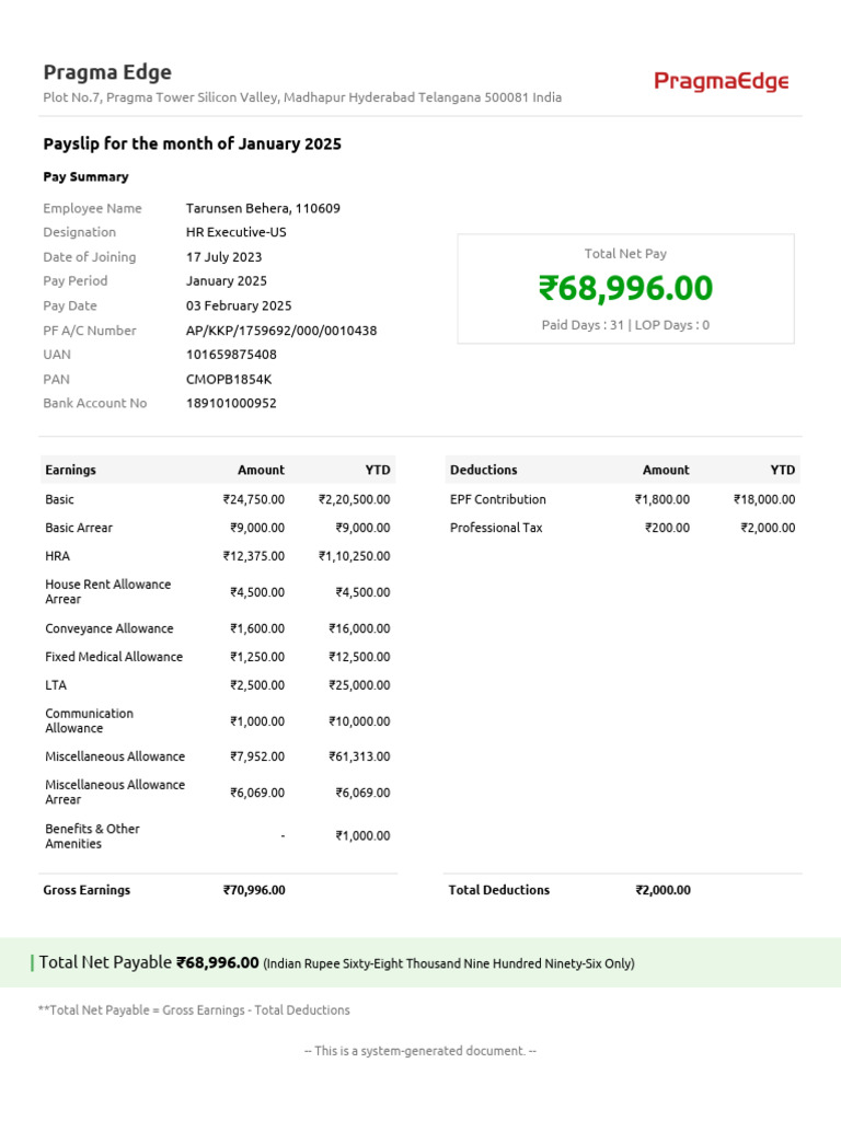 January 2025 Payslip for HR Executive | PDF