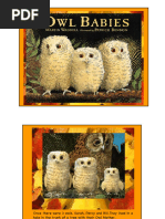 Owl Babies Story | PDF