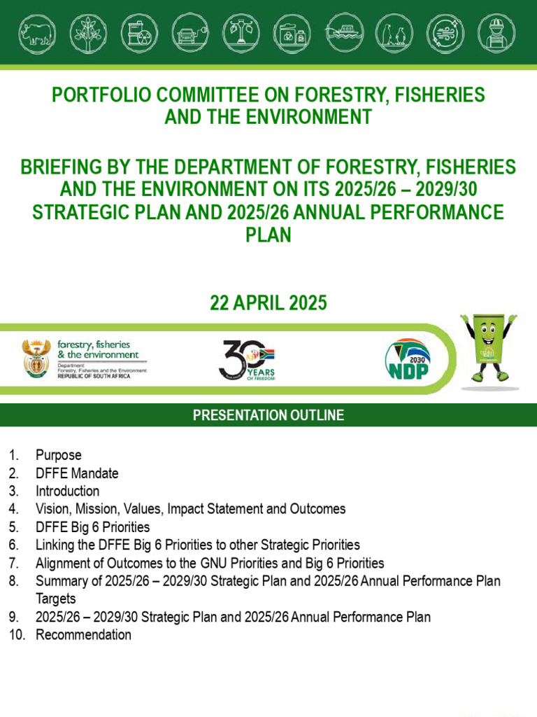 DFFE Strategic Plan and APP As Well As 2025 ENE Estimates ...