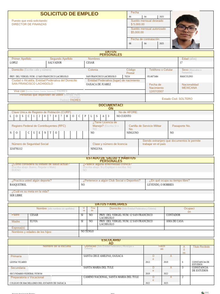 22SNE_SOLICITUD_DE_EMPLEO_PLANTILLA_PDF (1) | PDF