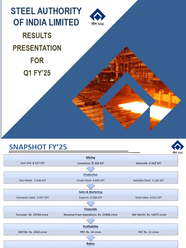 Performance Highlights Q1 FY'25 | PDF | Economies