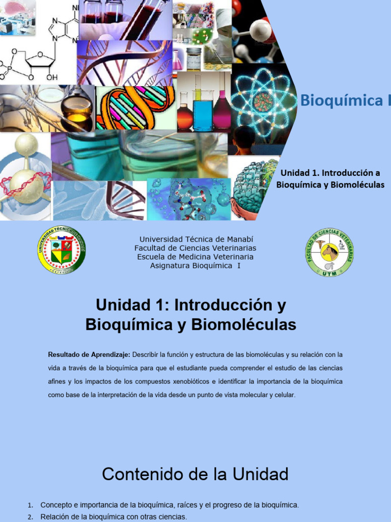 Introducción a la Bioquímica y Biomoléculas | PDF | Propiedades del ...