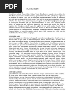 Mercan Kiz Masali | PDF