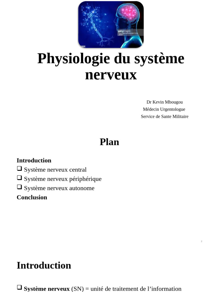 Physiologie du Système Nerveux Expliquée | PDF | Système nerveux ...