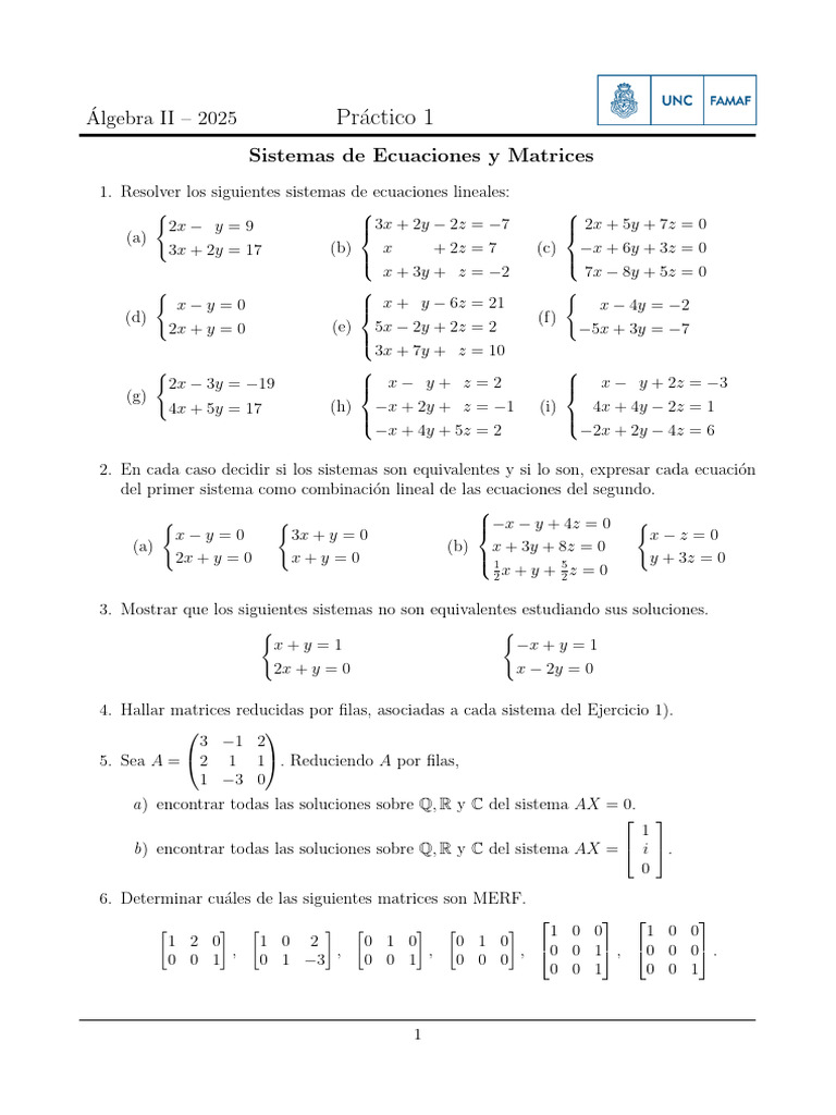 Practico1 2025 Sistemas de Ecuac | PDF | Matriz (Matemáticas) | Ecuaciones