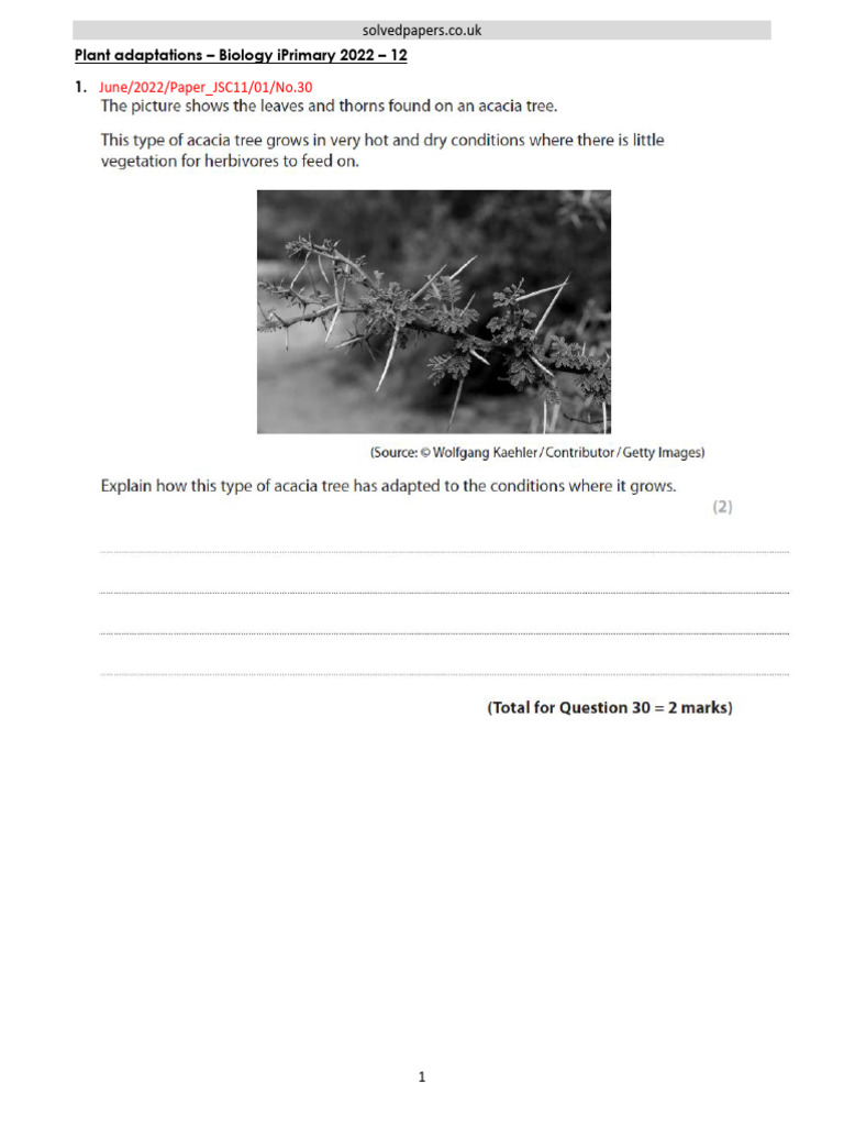2022 12 Plant Adaptations Edexcel Biology Iprimary | PDF