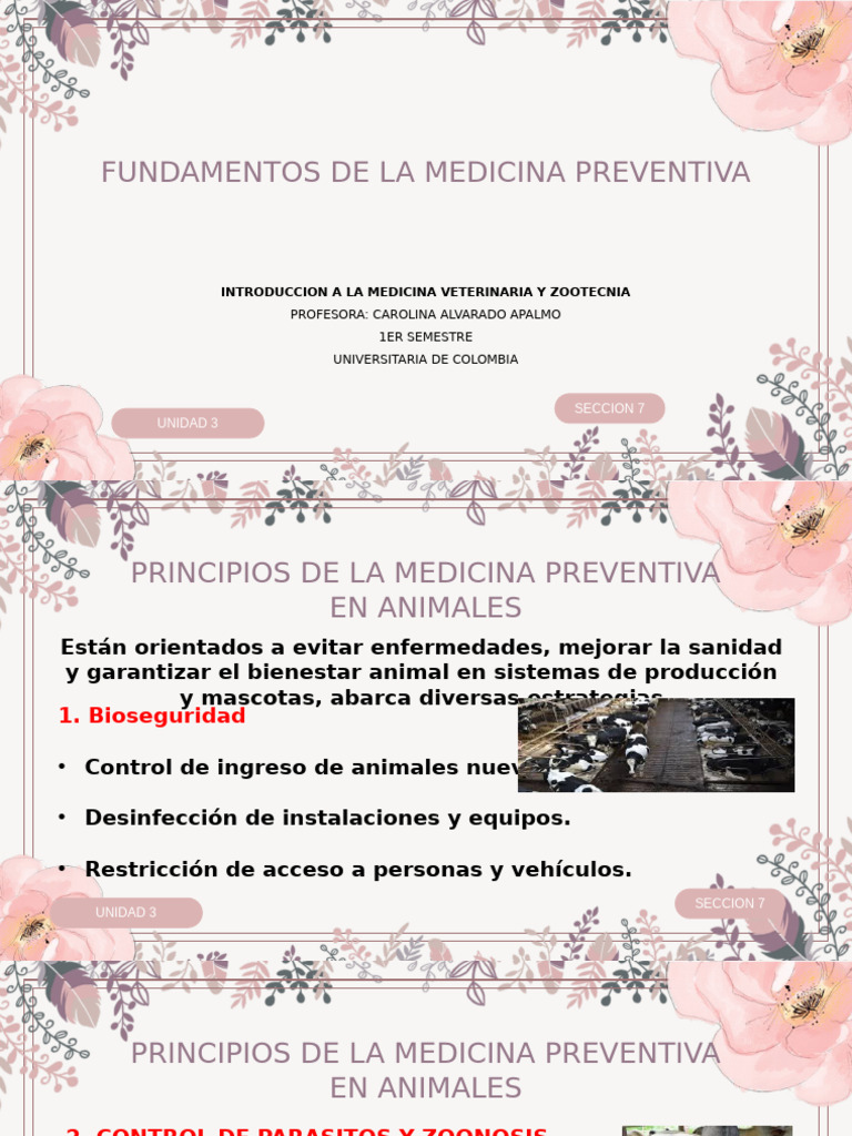 Seccion 7 Fundamentos de La Medicina Preventiva | PDF | Residuos | Agua