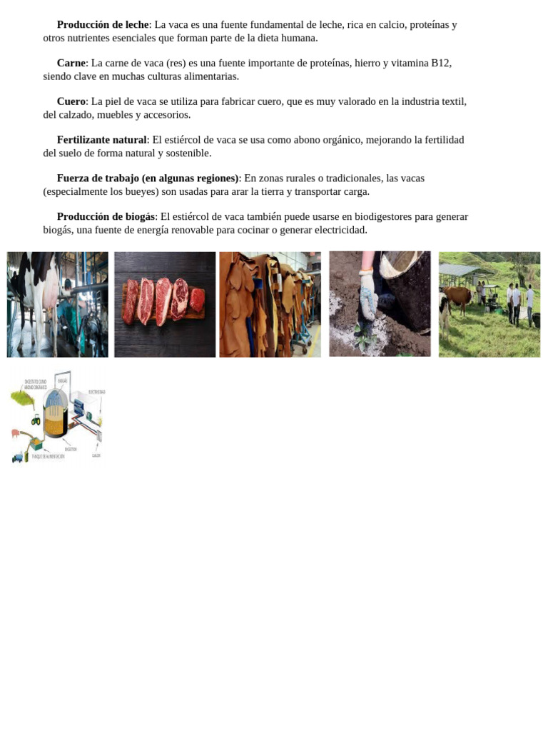 Beneficios D Ela Vca | PDF