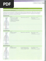 Anatomía de los Músculos Paravertebrales | PDF | Tejido suave ...