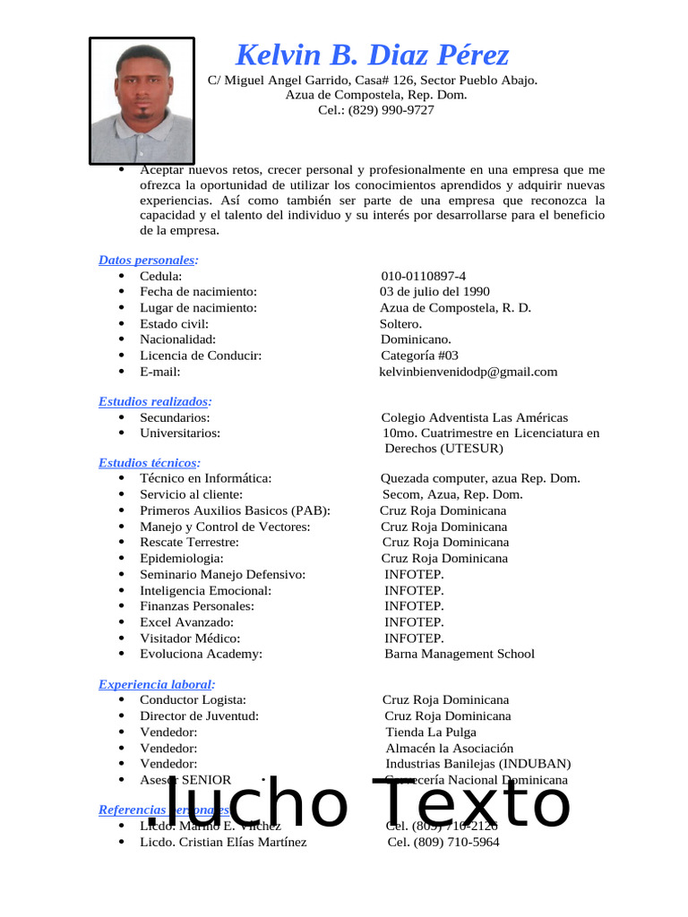 CV Kelvin Diaz | PDF