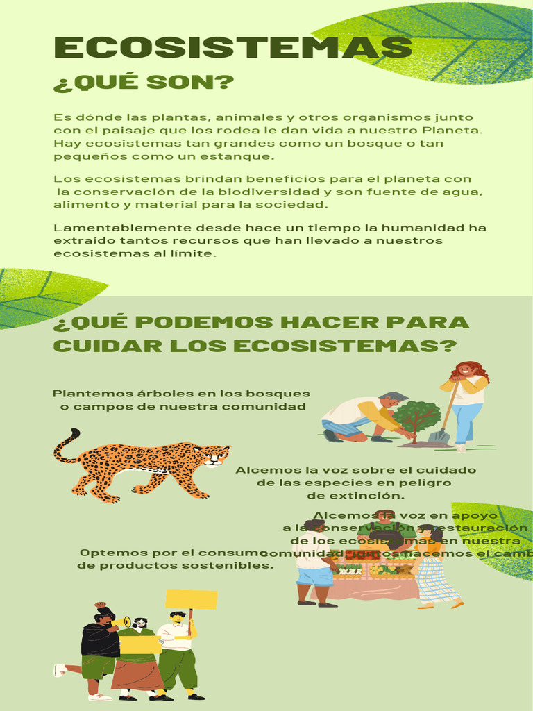 Infografía Sobre El Cuidado de Los Ecosistemas - 20250422 - 110740 - 0000 | PDF