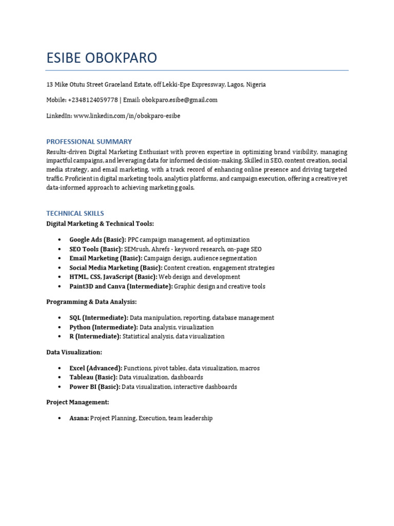 Esibe Obokparo Digital Marketing 2024 CV R | PDF | Digital Marketing ...
