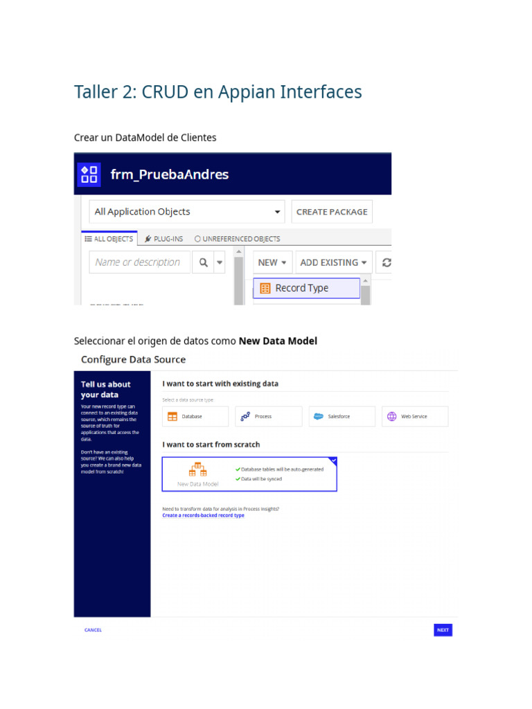 Taller 2 - Appian CRUD | PDF