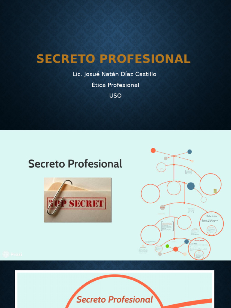 El Secreto Profesional | PDF